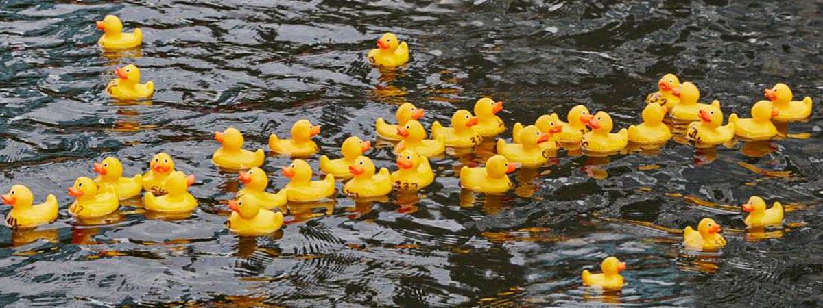 COSMIC Rubber Duck Race 2022 | Merchant Square Paddington